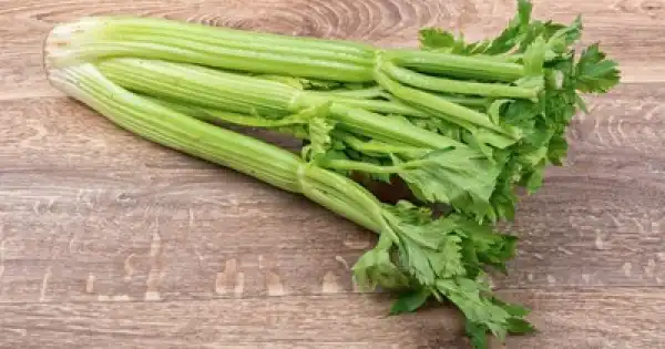 Manfaat Seledri untuk Kesehatan Ginjal dan Cara Mengonsumsinya