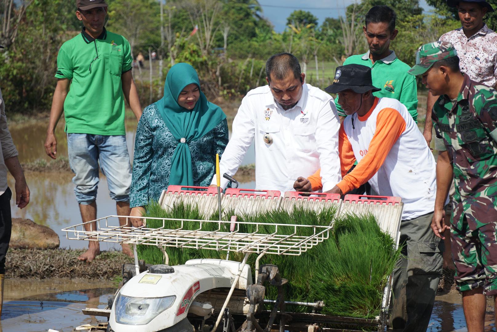 Wujudkan Swasembada Pangan di Aceh Besar, Pj Bupati Iswanto Inisiasi Tanam Padi dengan Rice ...